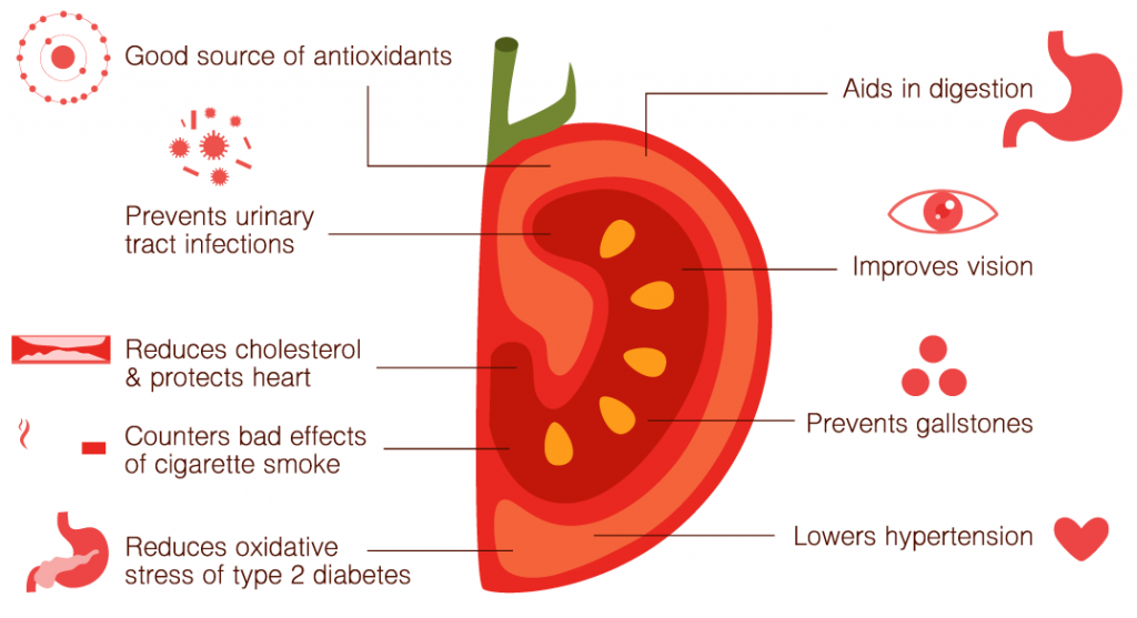 Tomato Nutritional Facts and Health Benefits Information