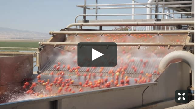 The Morning Star Packing Company - Sneak Peek 2019