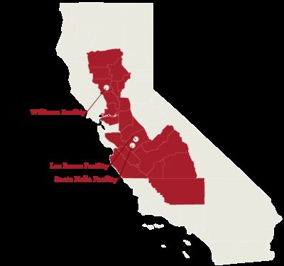 Reliable Tomato Processing in California by Industry Leader