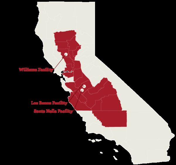 Reliable Tomato Processing in California by Industry Leader