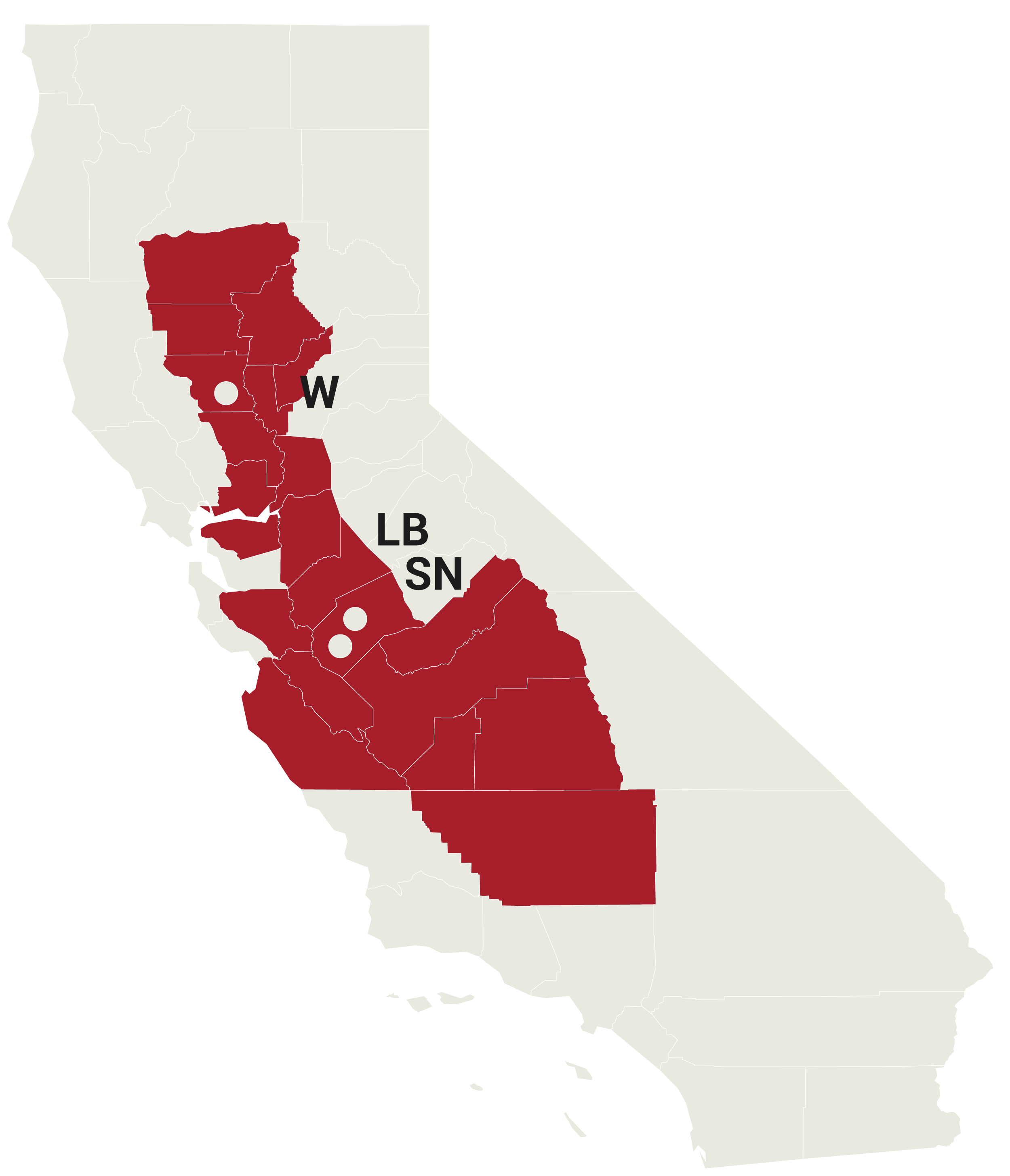 Tomato Processing and Packing Company - Morning Star Tomatoes