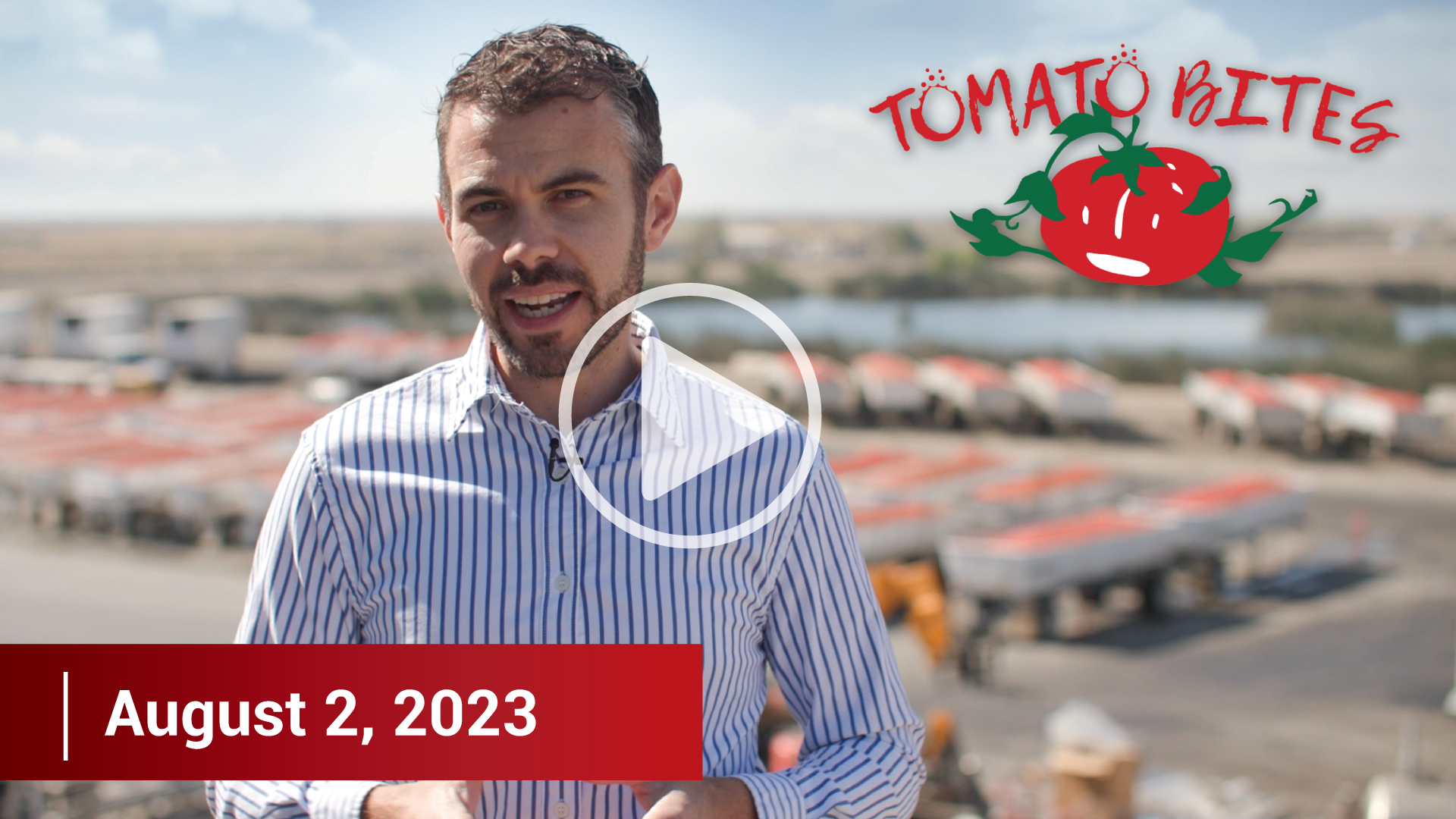 TOMATO BITES by Morning Star - Aug 2 Release