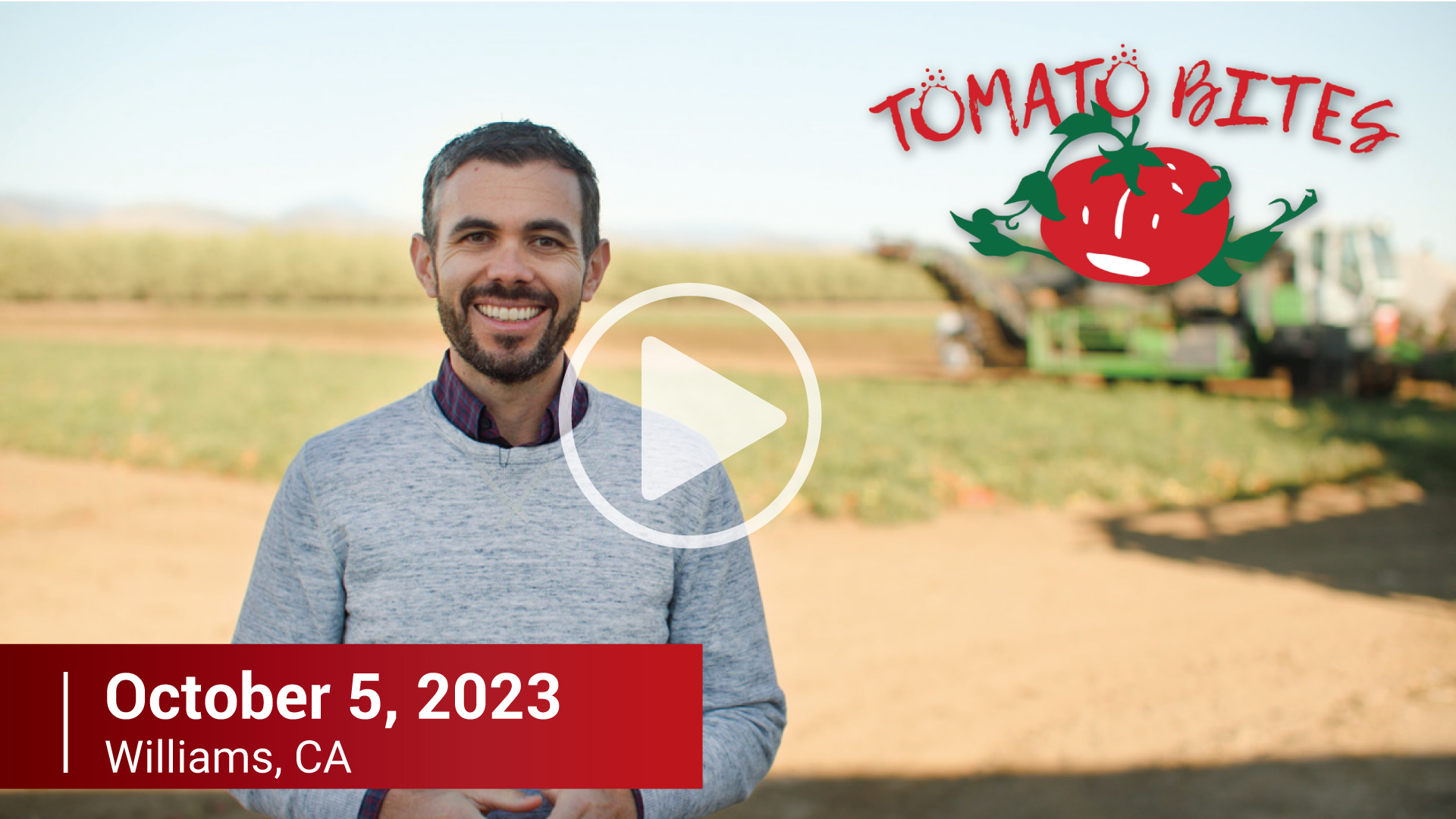 TOMATO BITES by Morning Star - October 5 Release