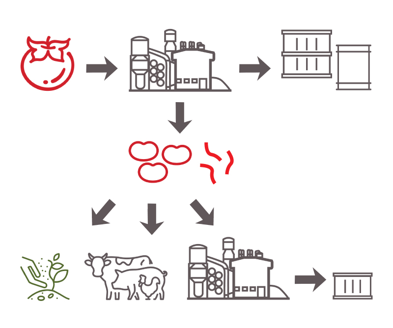 Making more from less through resource recovery: Upcycling Tomato Pomace