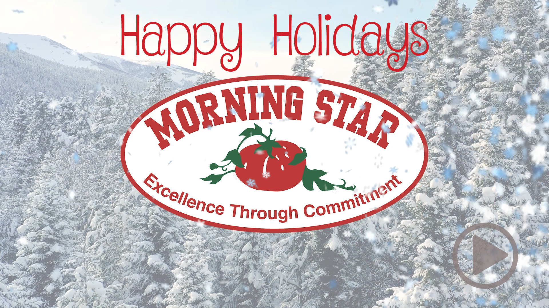 Happy Holidays from Morning Star