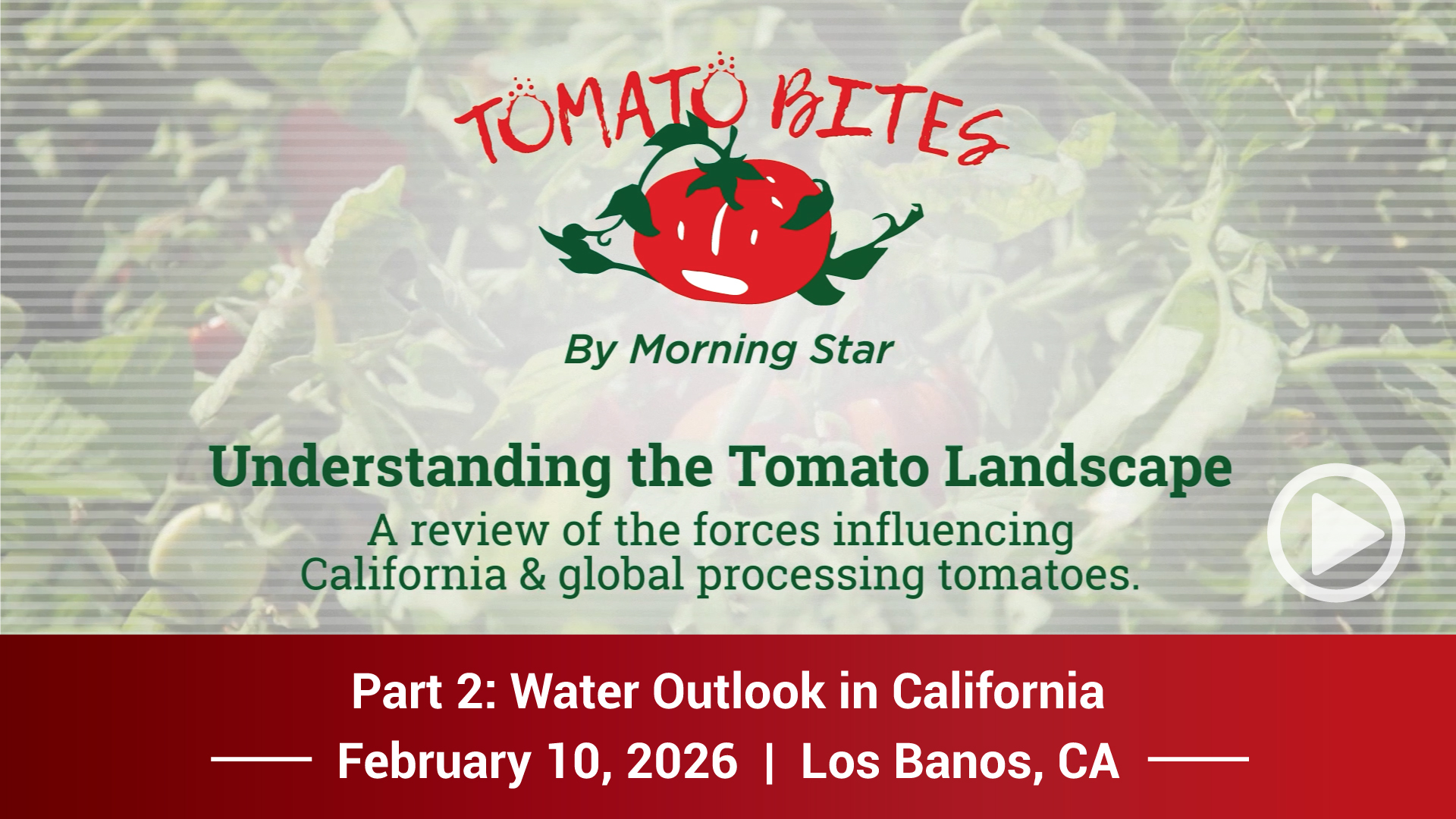 TOMATO BITES by Morning Star - February 2026 Release - Part 2